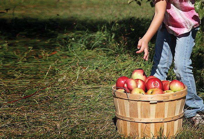 On Cybersecurity, Grab the Low-Hanging Fruit | Carlton Fields