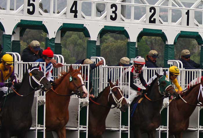 Out of the Gate Fast | Carlton Fields