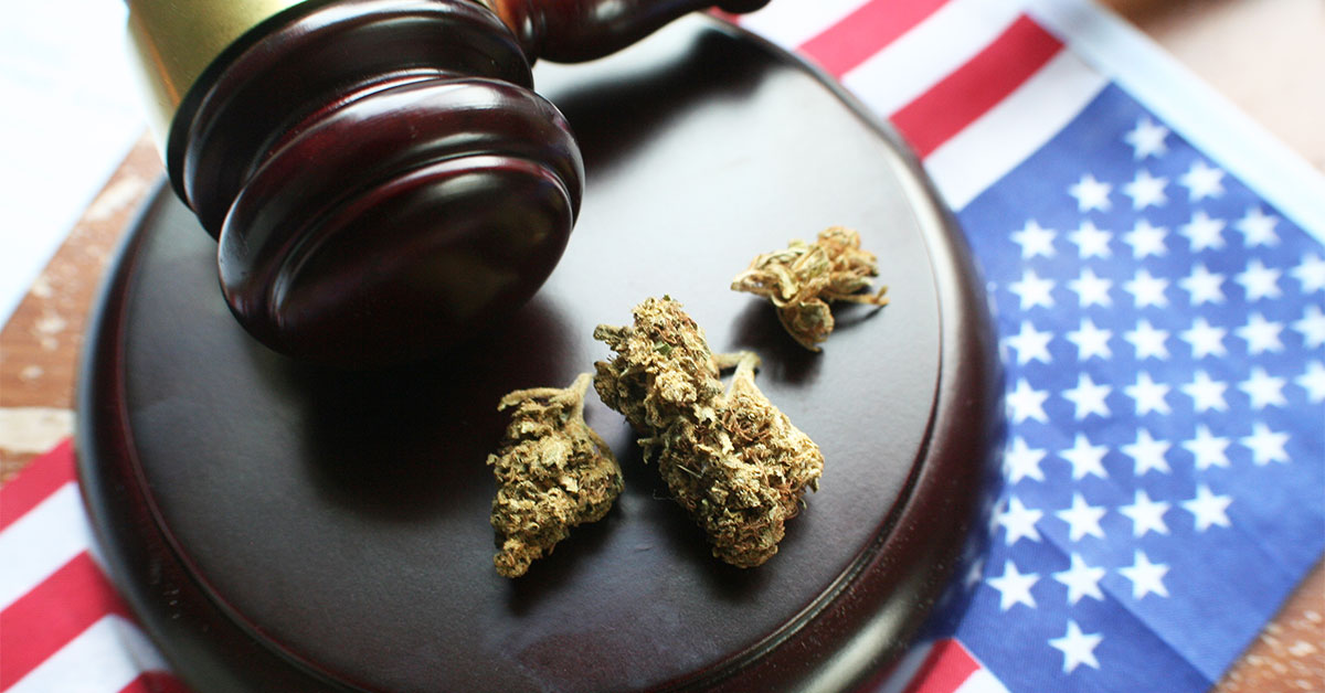 The Chronicle: American Adult-Use Marijuana Laws - Cultivation Licenses ...