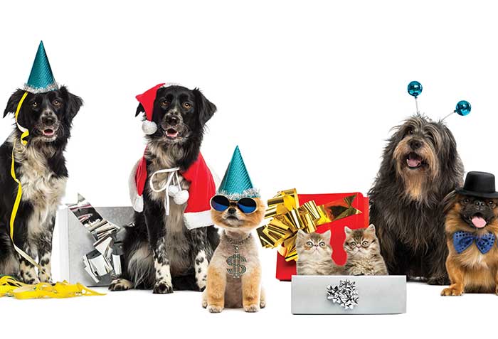 NAIC Task Force Gives Insurers a Holiday Rebating Gift | Carlton Fields